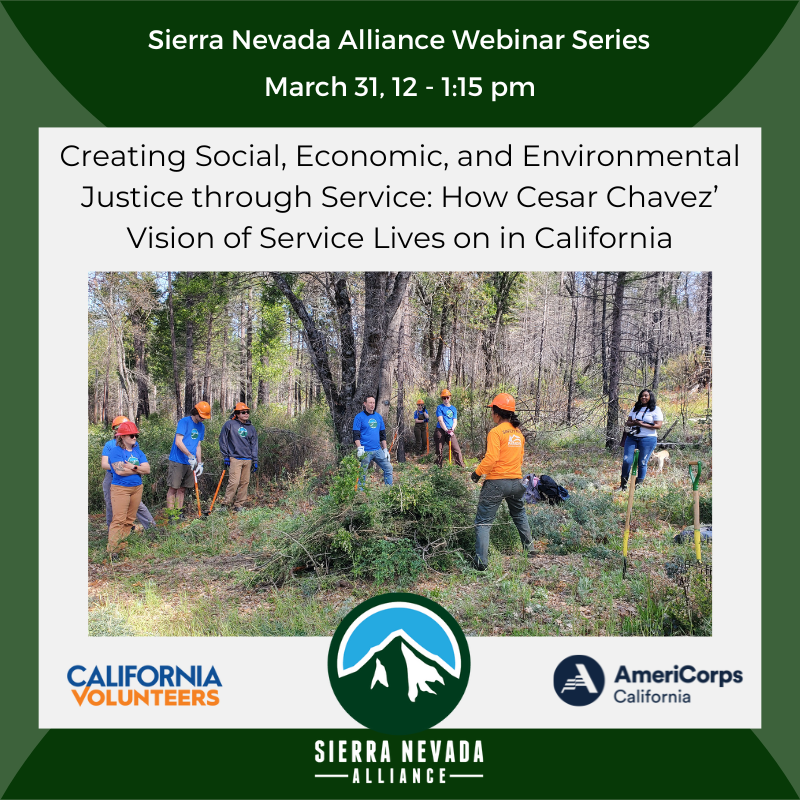 Creating Social, Economic, and Environmental Justice through Service ...