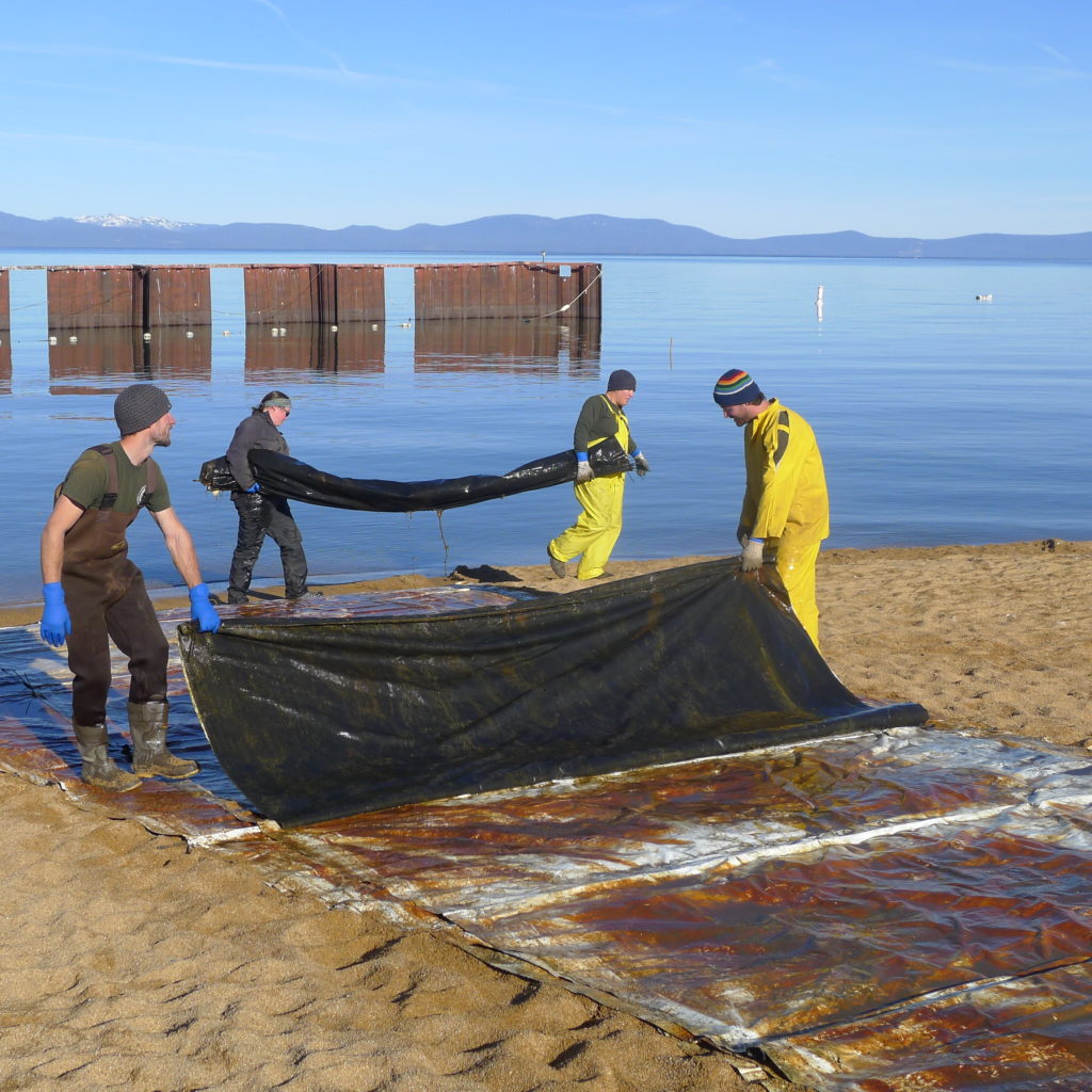 Public Private Partnership Helps Clean Up Aquatic Invasive Weeds - Take ...