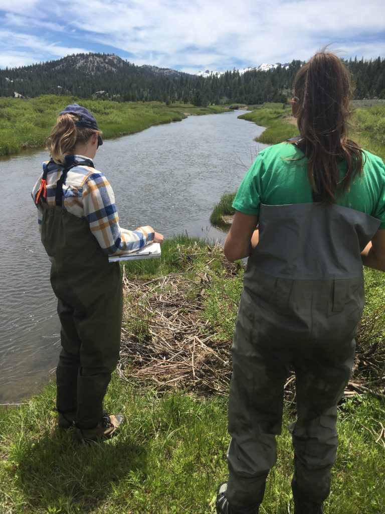 Intercalibration & River Monitoring Training - Take Care