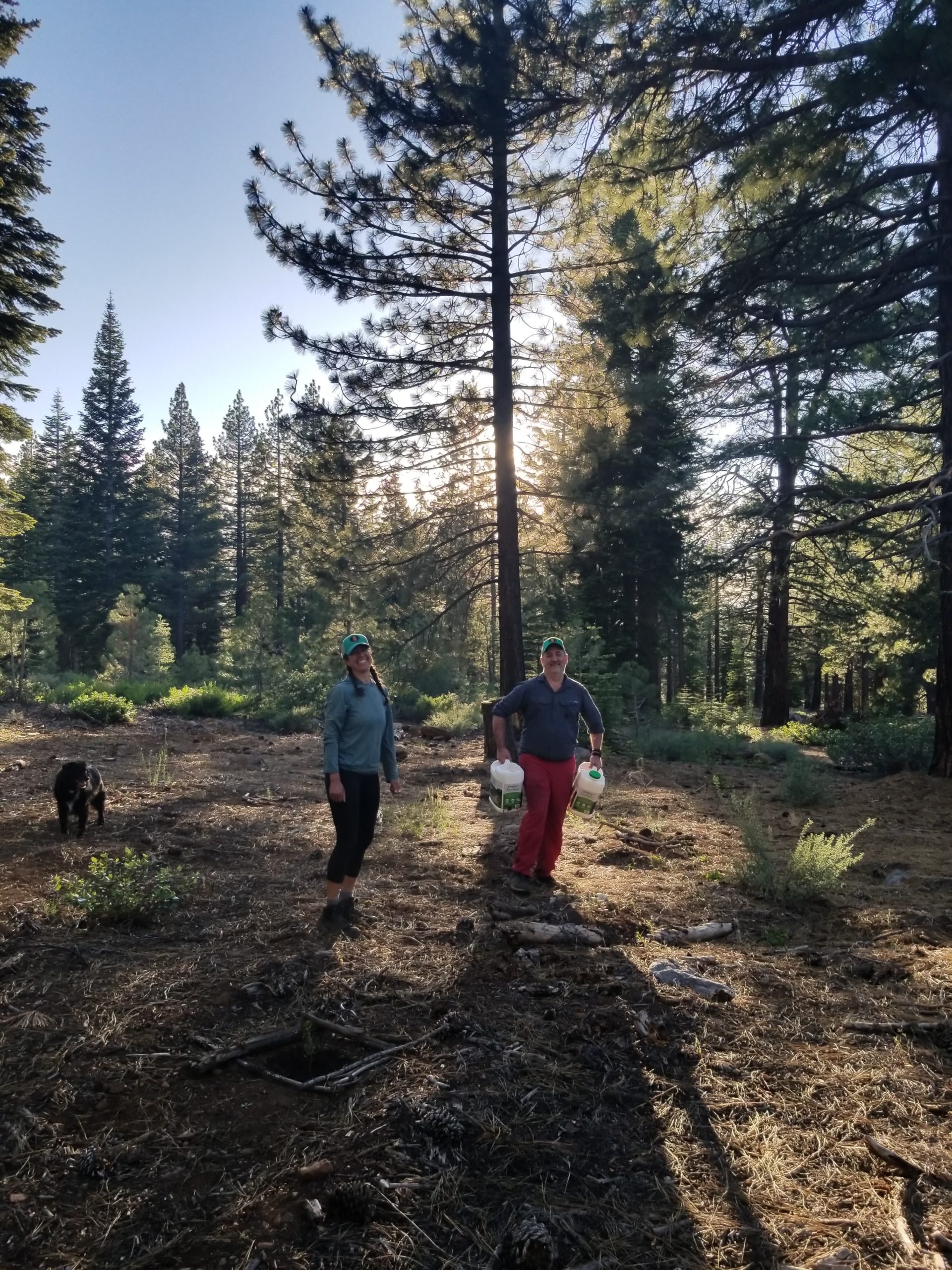 Incline Village Tree Watering - Sugar Pine Foundation - Take Care