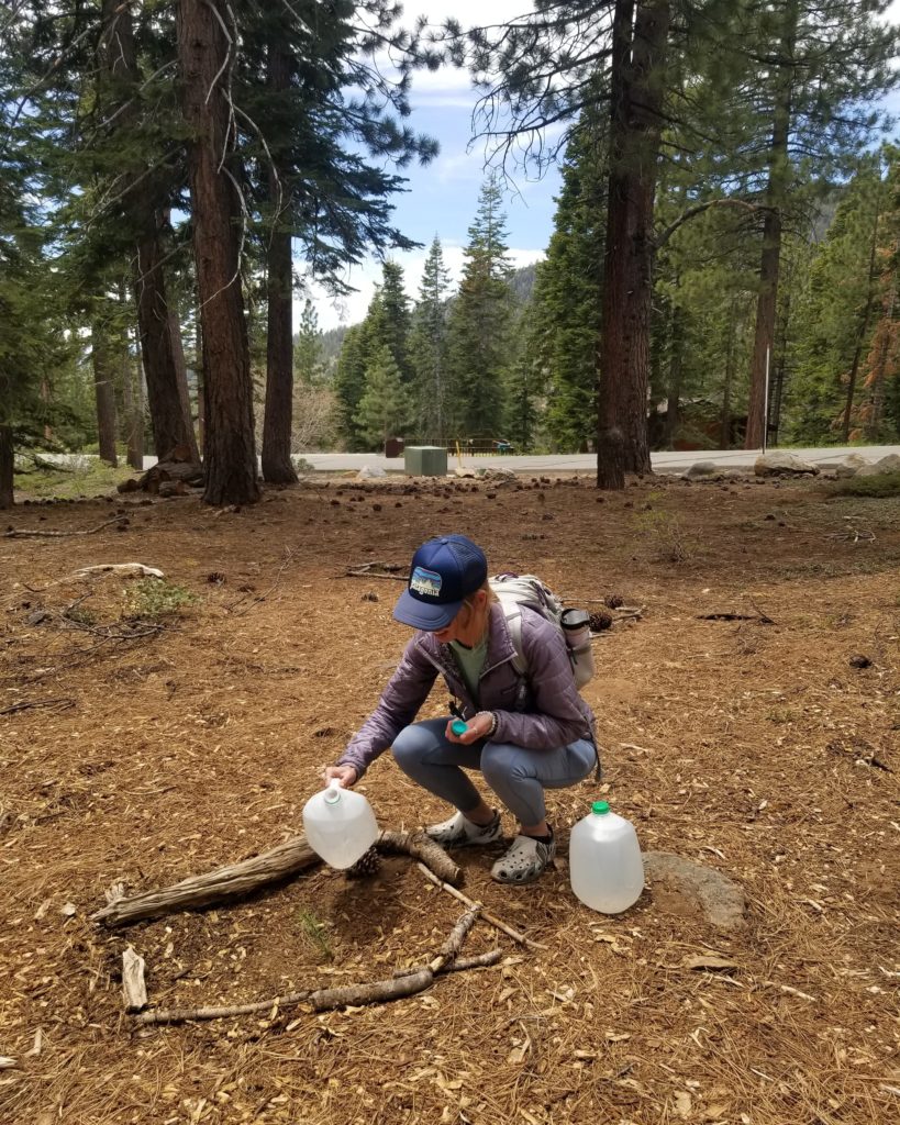 Tahoe City Tree Watering - Sugar Pine Foundation - Take Care