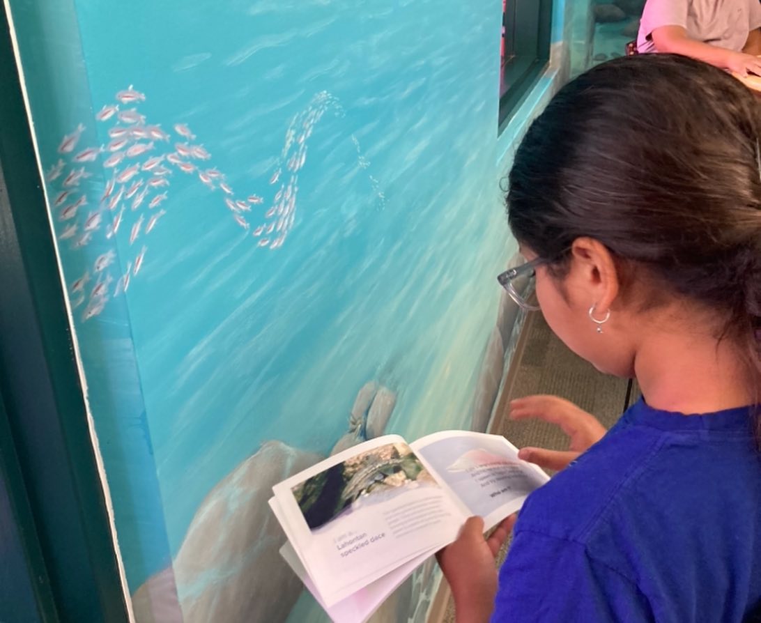 Visit the New Underwater Lake Tahoe Lounge and Video Exhibits at the UC ...