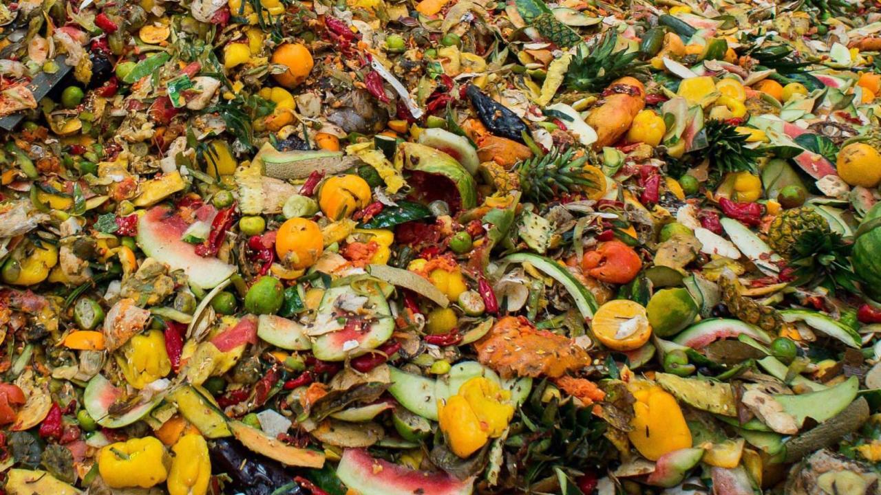 Science Speaks Series: Why is a third of food wasted worldwide? - Take Care