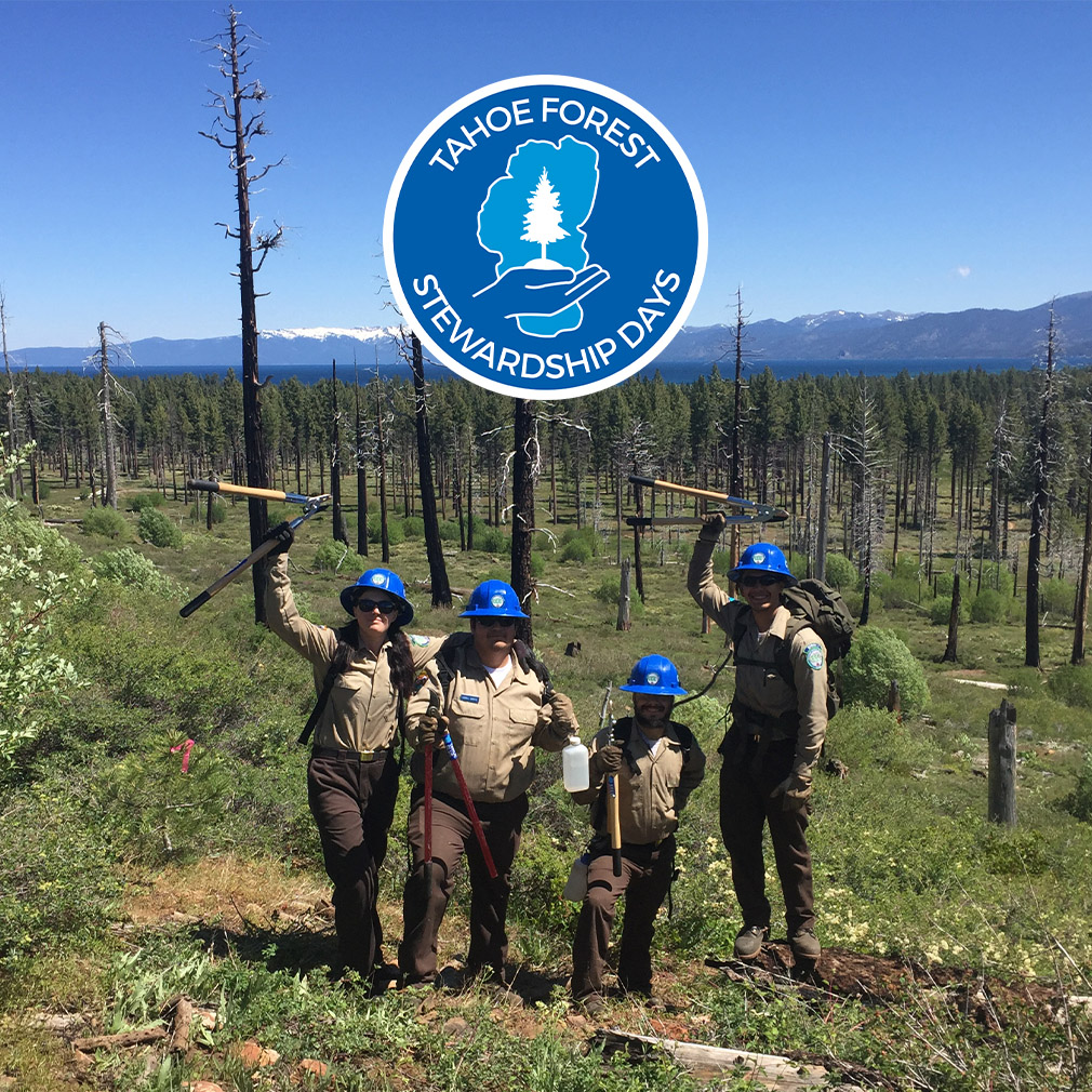 Tahoe Forest Stewardship Day Fall - Take Care