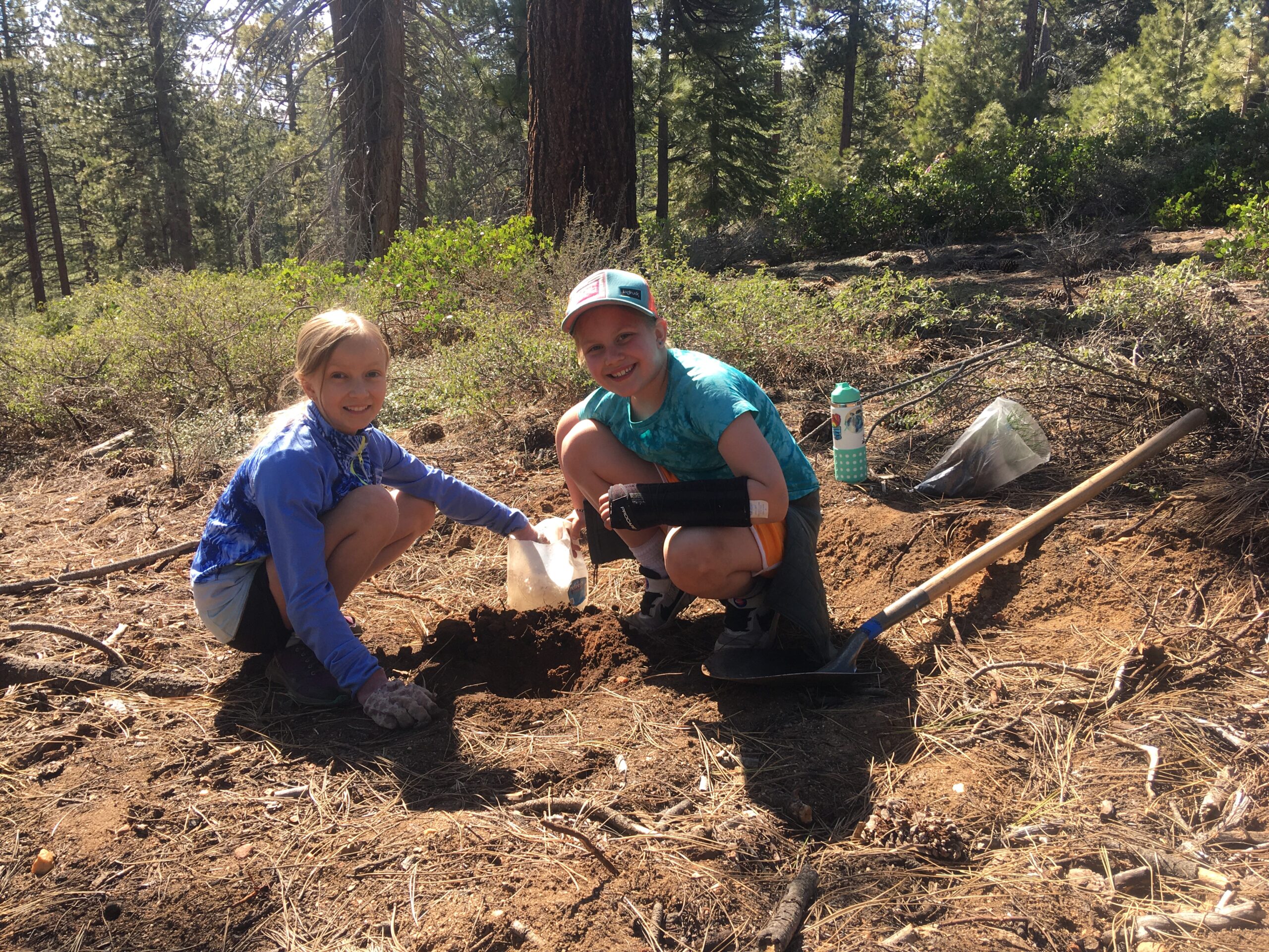 South Lake Tahoe Community Sugar Pine Planting - Take Care
